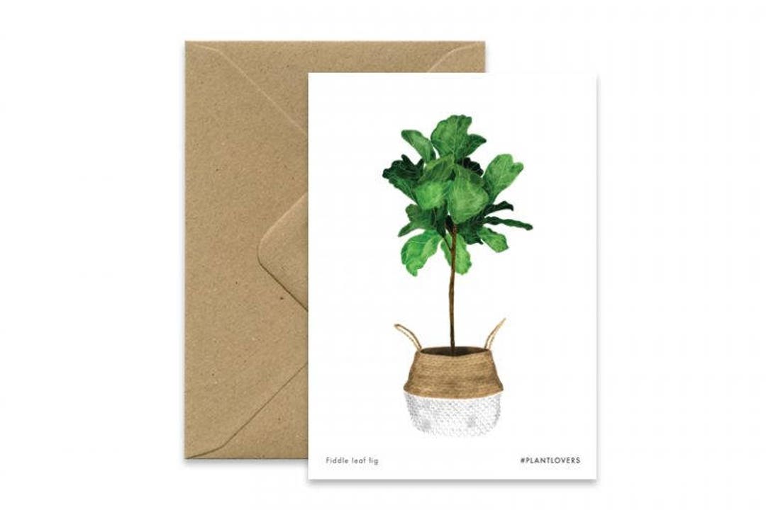Fiddle Leaf Tree - Greeting Card - Etsy