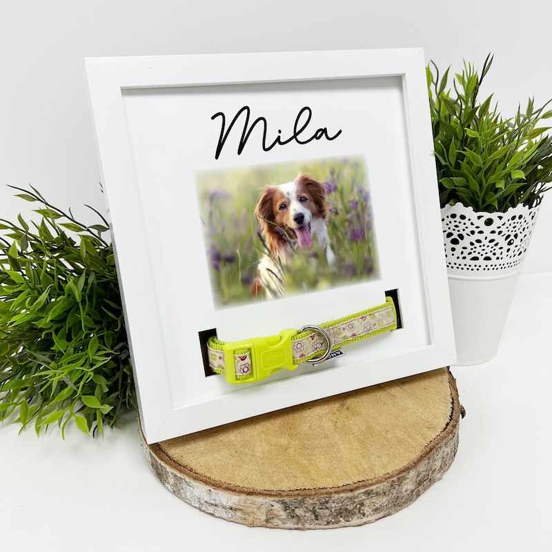 Dog Memorial Square Frame - Etsy UK