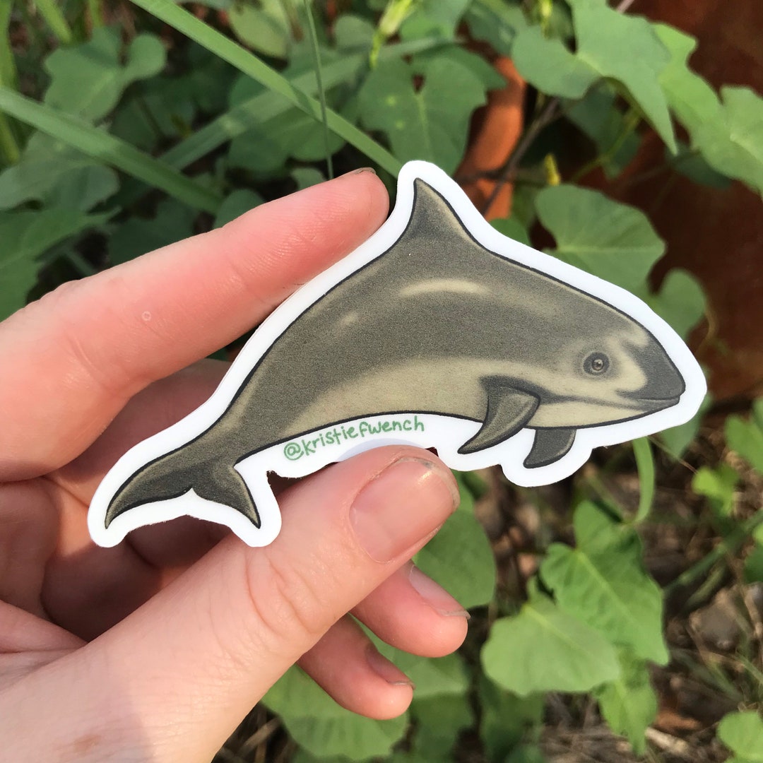 Vaquita Waterproof Vinyl Sticker - Etsy