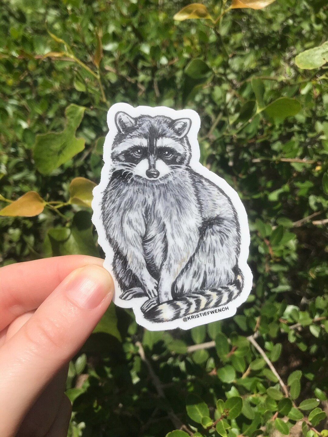 Raccoon Sticker - Etsy