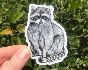 Raccoon Sticker | Etsy