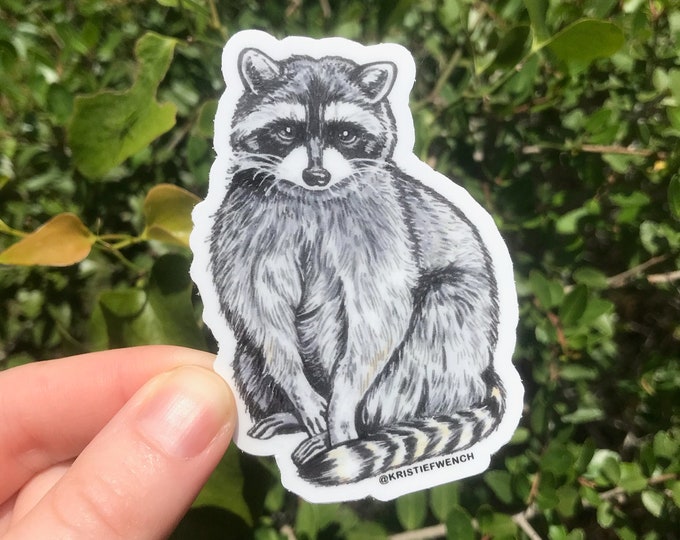 Raccoon Sticker - Etsy