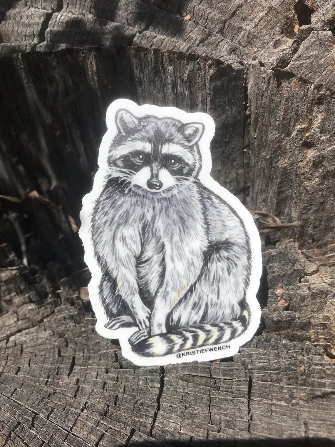 Raccoon Sticker - Etsy