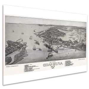Cedar Key, Florida; Antique Map 1884; Birdseye View - Teak Wood ...