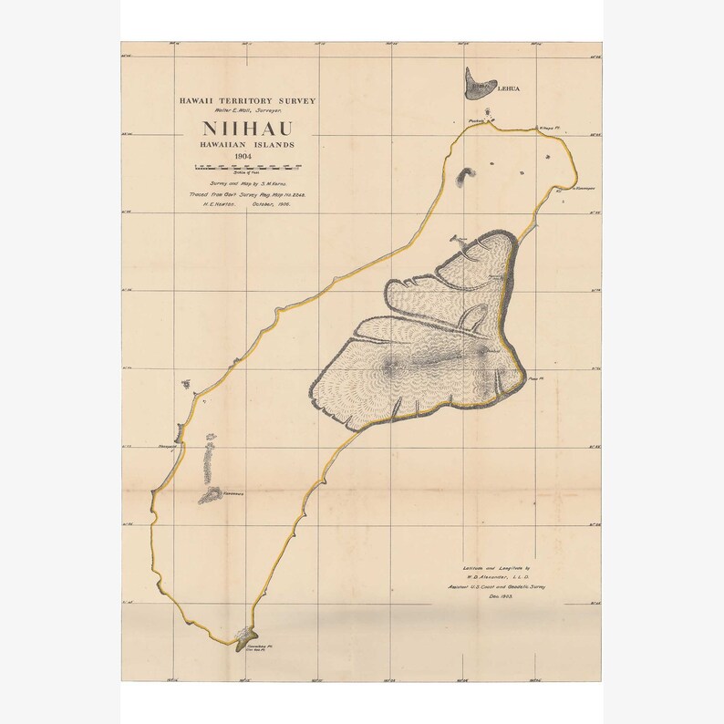 Island of Niihau Hawaii Antique Map by Alexander 1906 | Etsy