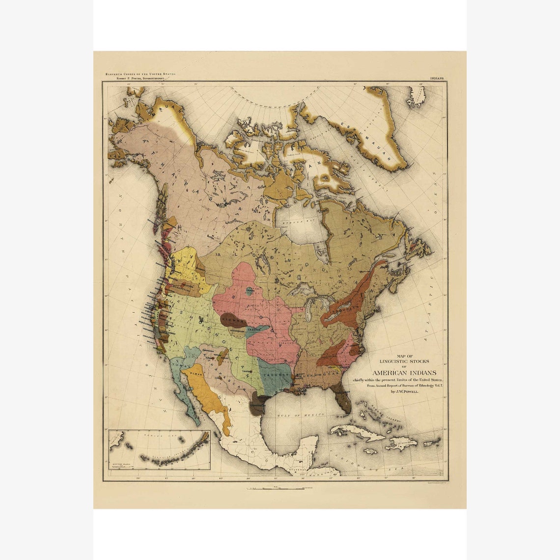 Native American Languages Map by John Wesley Powell Late - Etsy