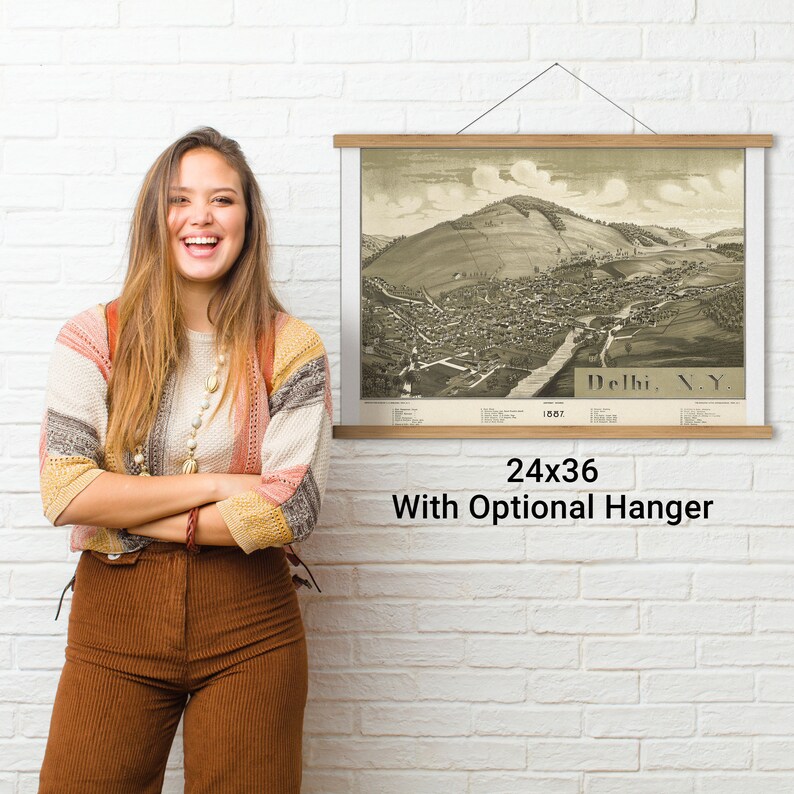 Map of Delhi New York by Burleigh 1887 Antique Birdseye Map - Etsy