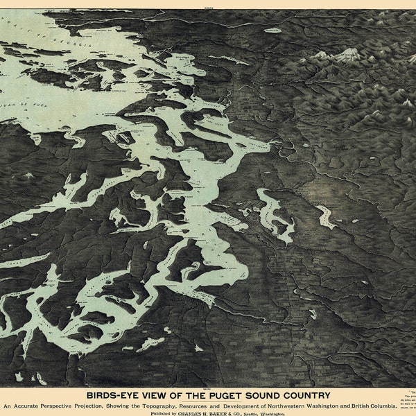 Topographic Map Of Puget Sound Etsy