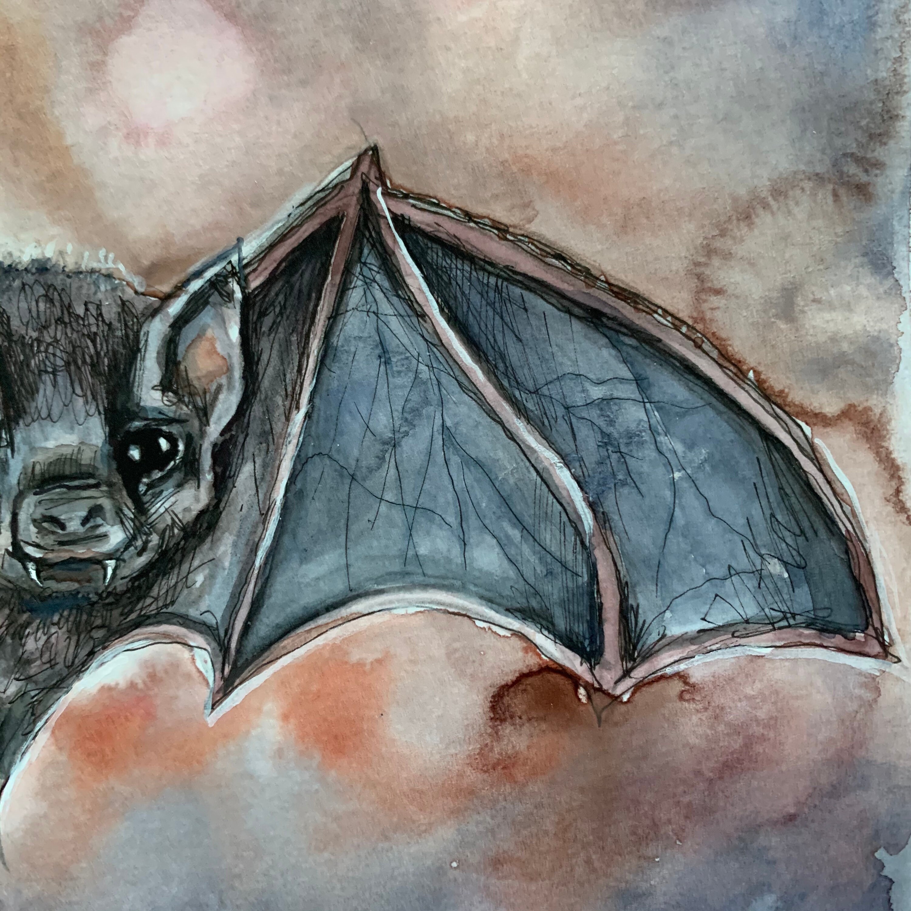 Vampire Bat. Original Artwork. - Etsy