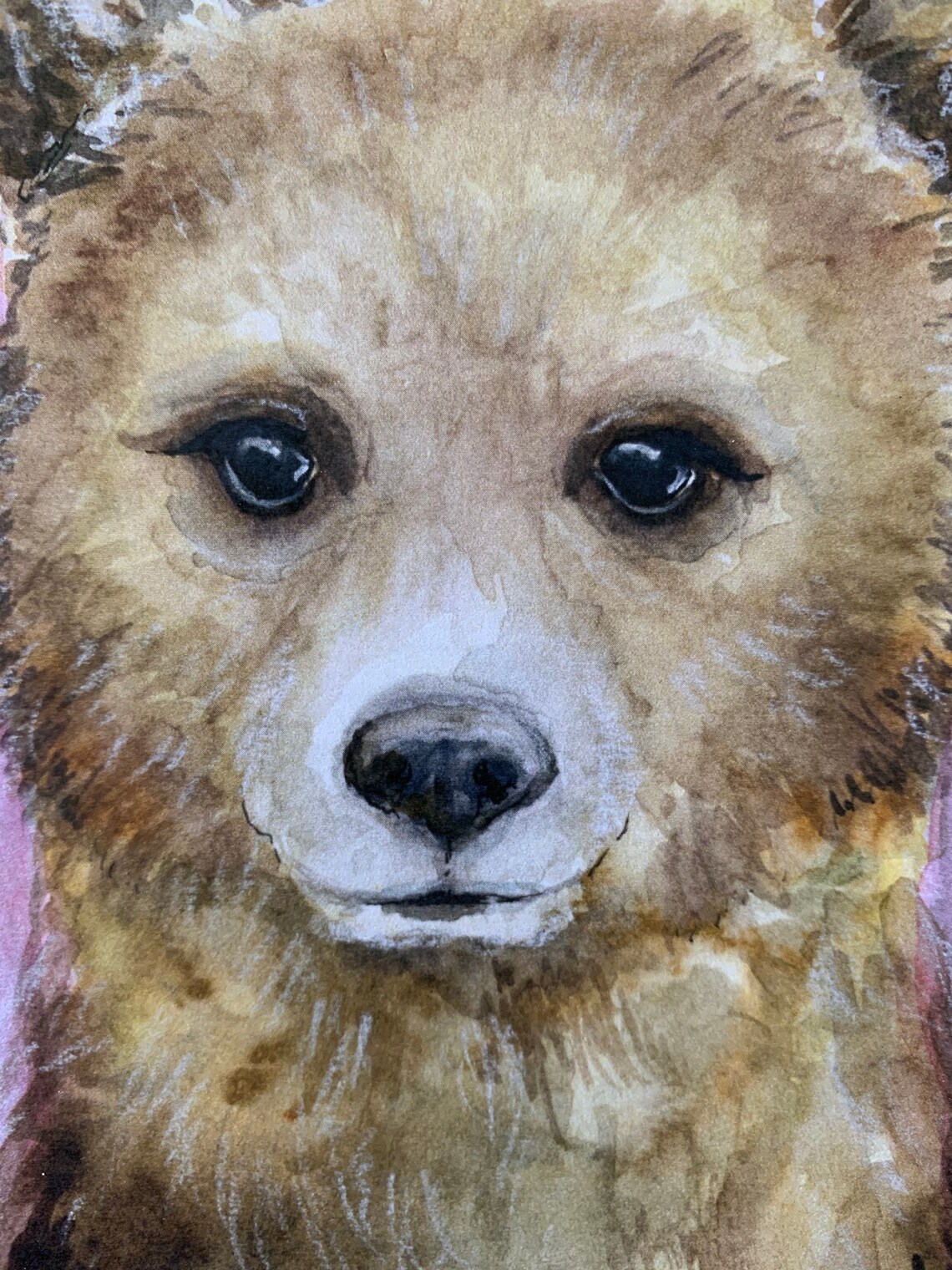 Little Bear. Print of Original Artwork. - Etsy