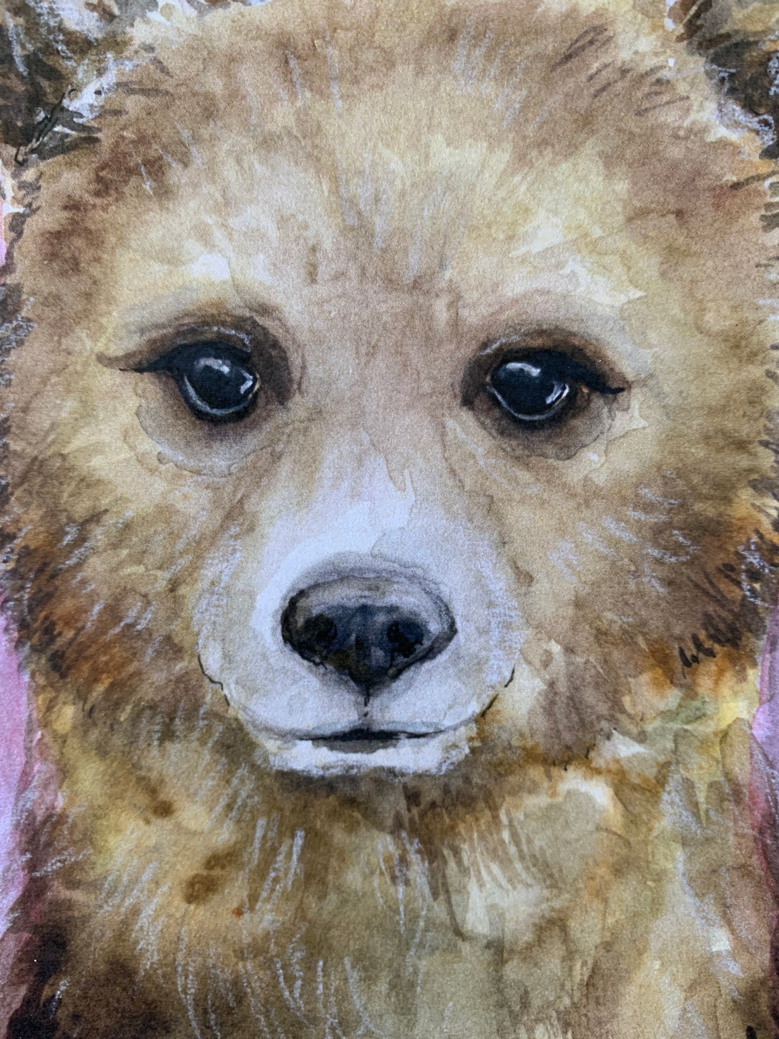 Little Bear. Print of Original Artwork. | Etsy