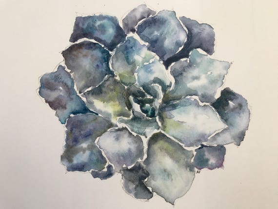 Succulent. Print of Original Work. Succulent Painting | Etsy
