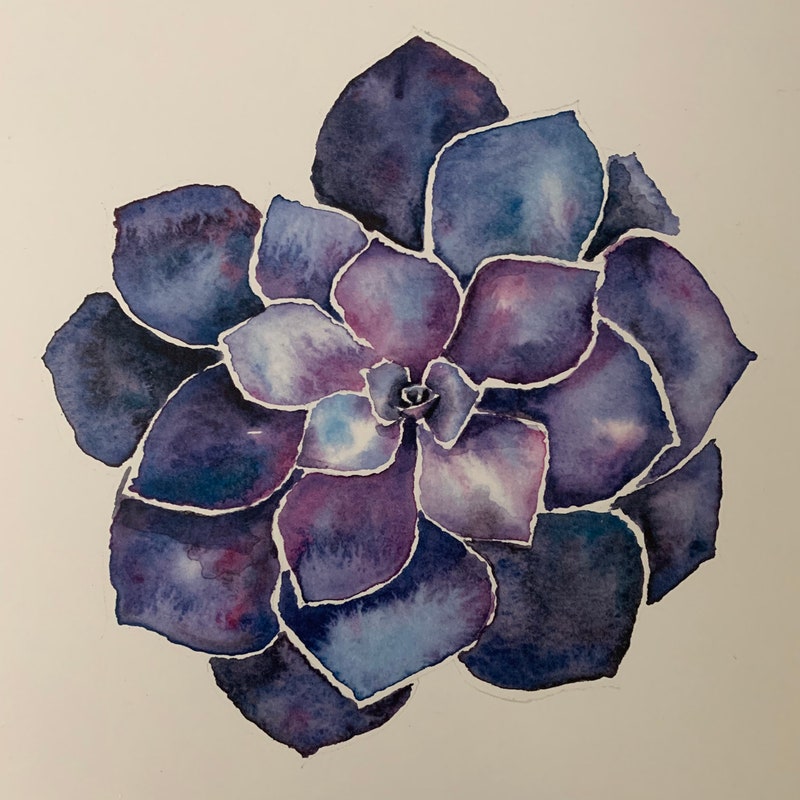 Succulent Painting - Etsy
