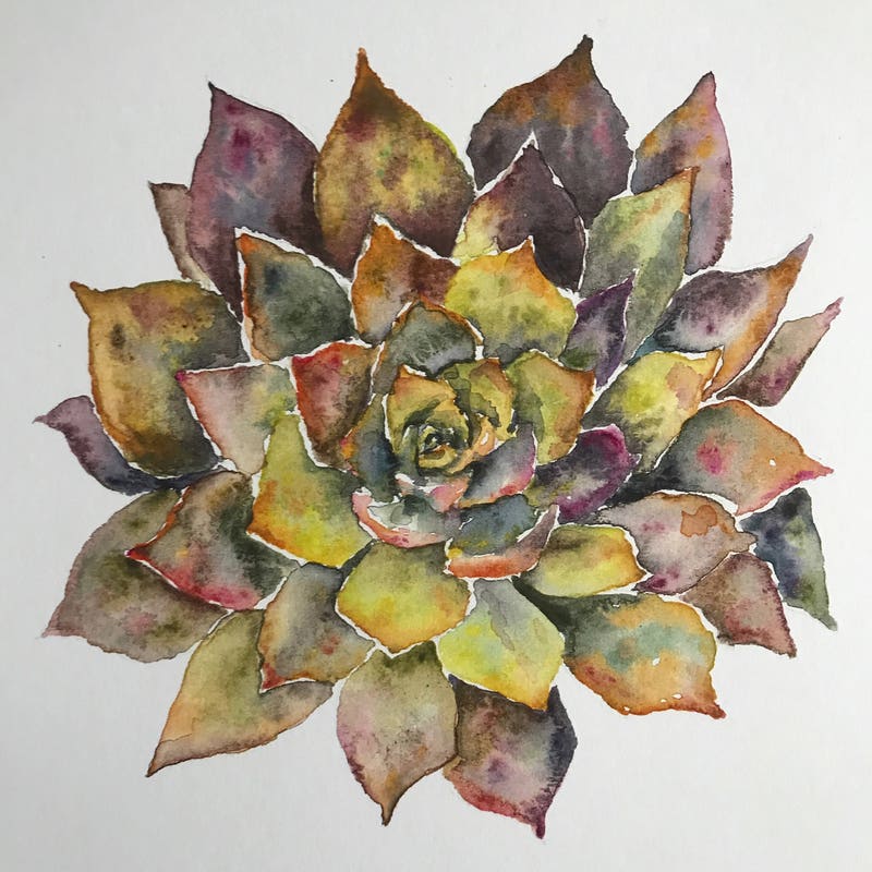 Succulent Painting - Etsy
