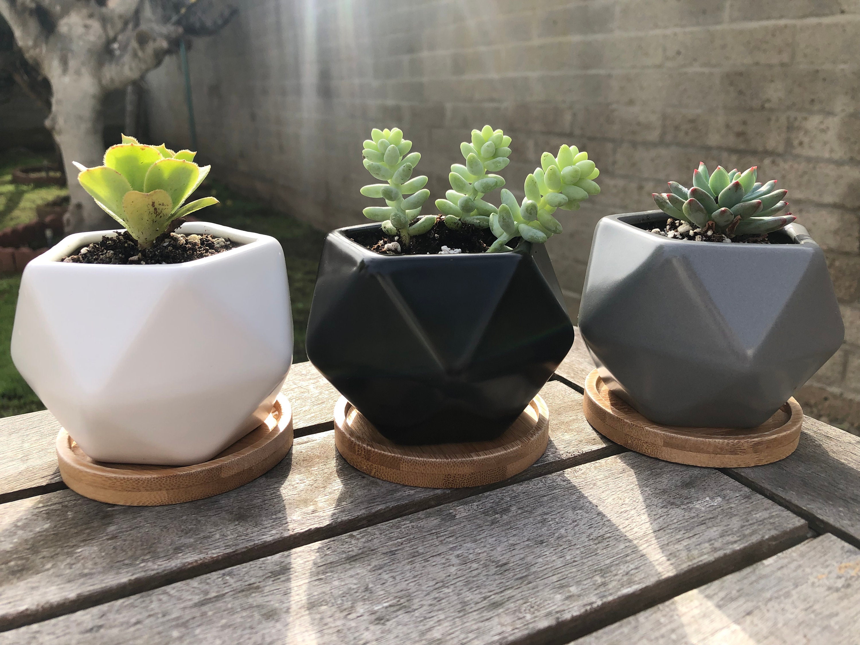 Planter Set - Etsy