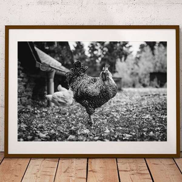 Chicken Print - Etsy