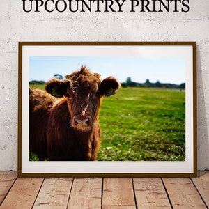 Cow Gifts, Cow Print, Cow Art, Highland Cow, Printable Art, French ...