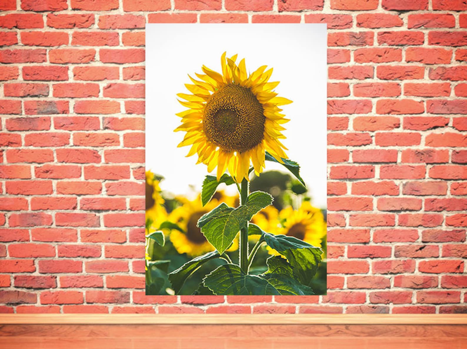 Sunflower Print Sunflower Art Sunflower Printable Sunflower - Etsy