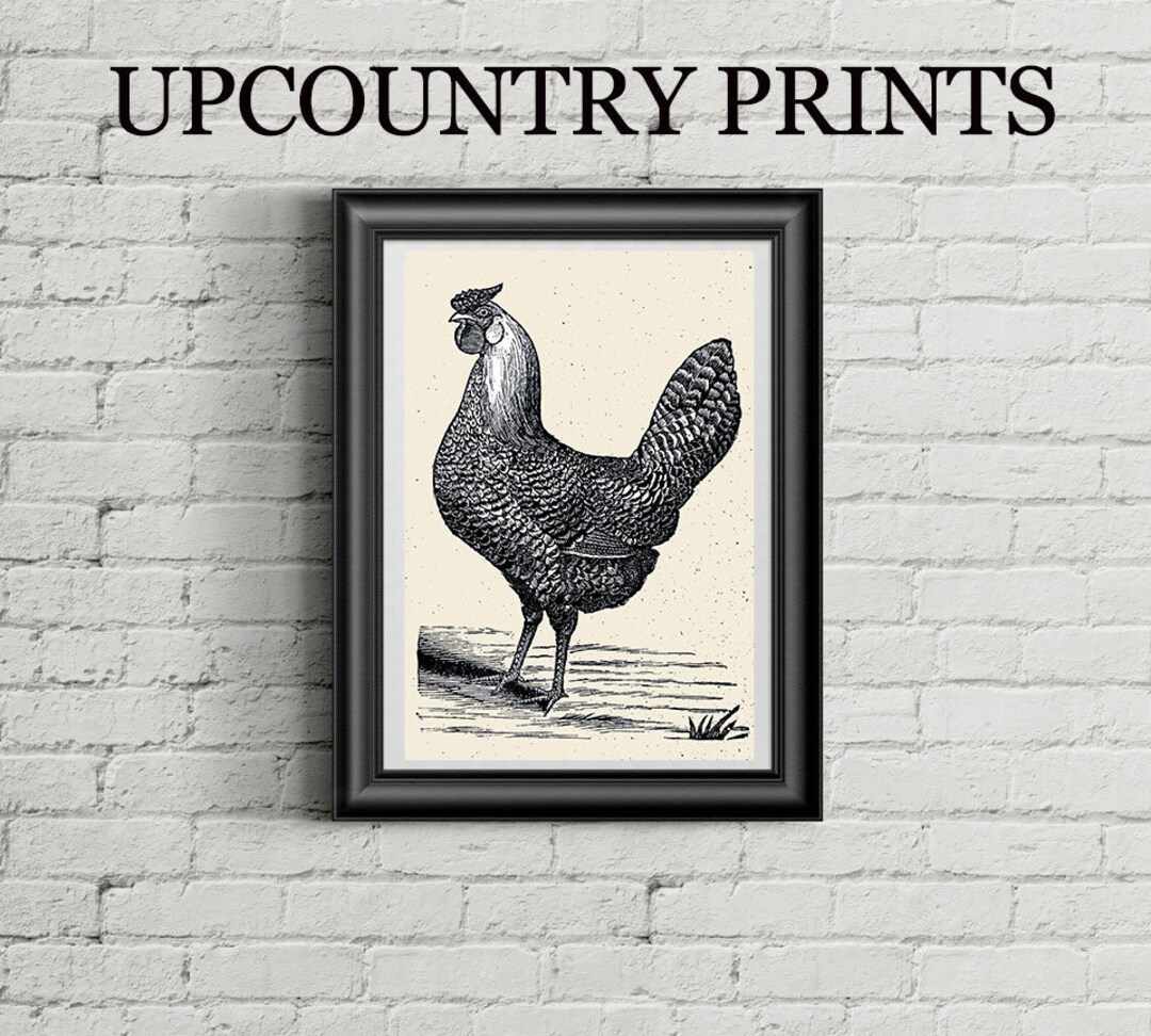 Vintage Images, Vintage Printable, Vintage Chicken, Chicken Art ...