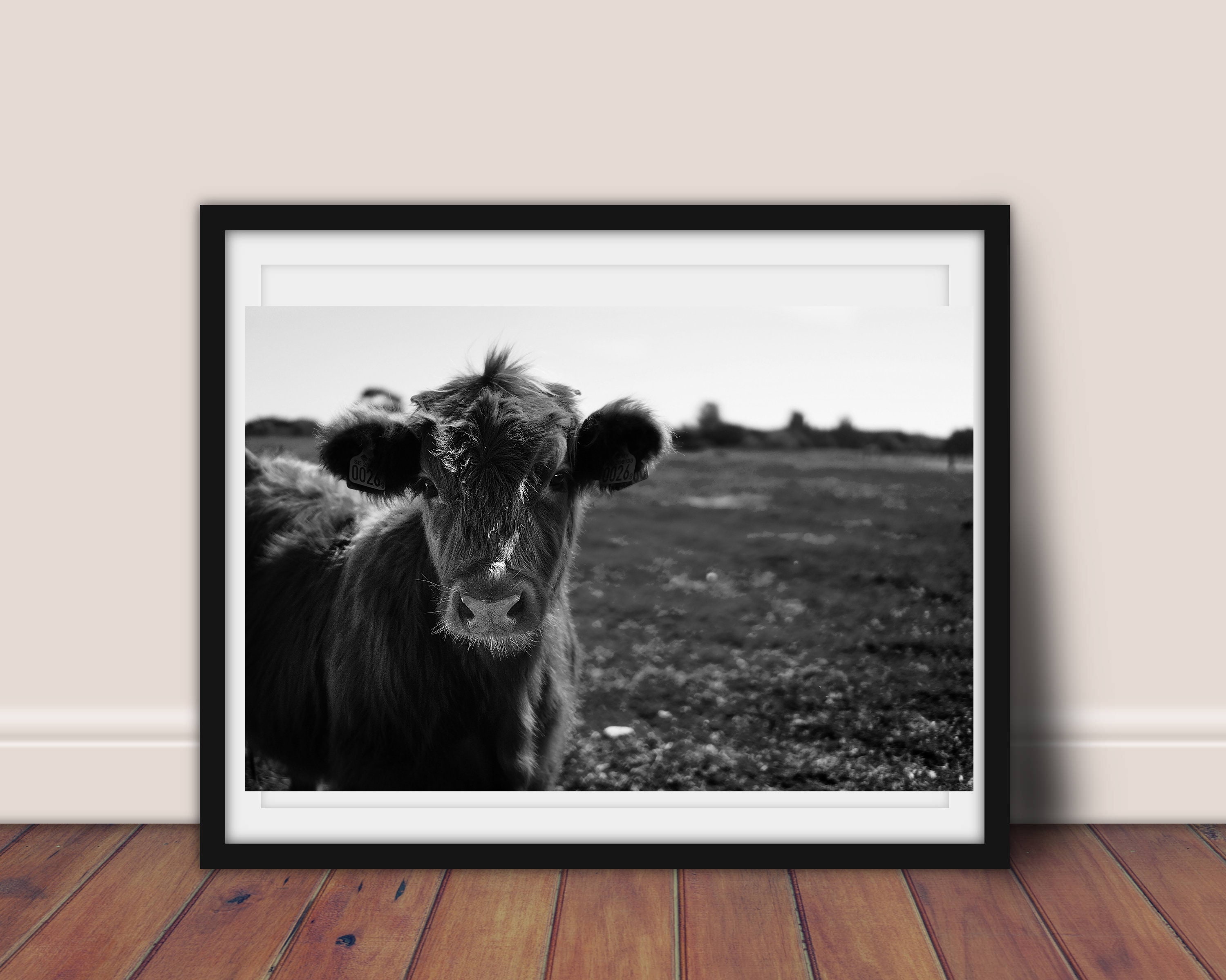Cow Gifts Cow Print Cow Art Highland Cow Printable Art | Etsy