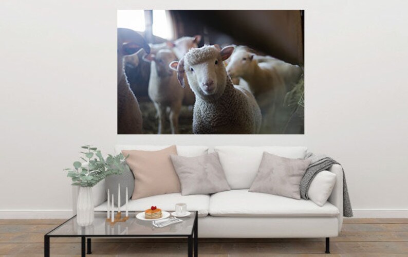 Sheep Nursery Art Print: Farmhouse Decor (digital Download) - Etsy