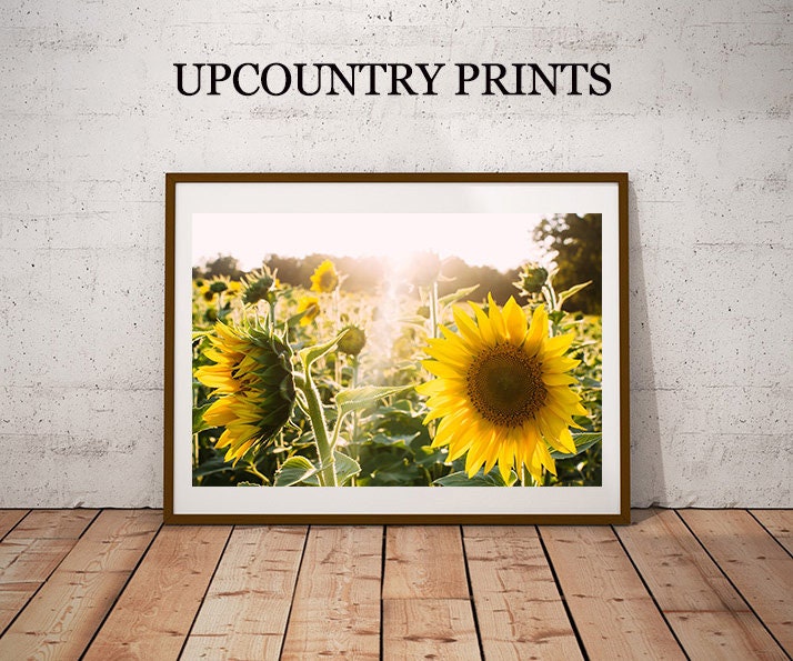 Sunflower Print Sunflower Art Sunflower Printable Sunflower - Etsy