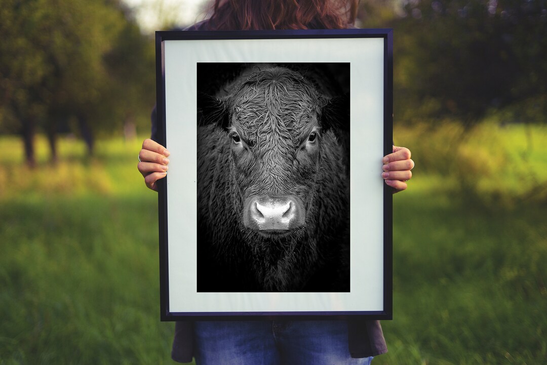 Cow Gifts, Cow Print, Cow Art, Highland Cow, Printable Art, French ...