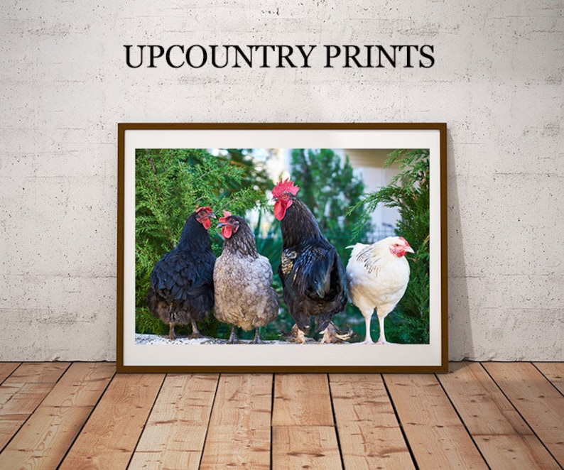 Farmhouse Chicken Art Print: Rustic Home Decor (digital Download) - Etsy