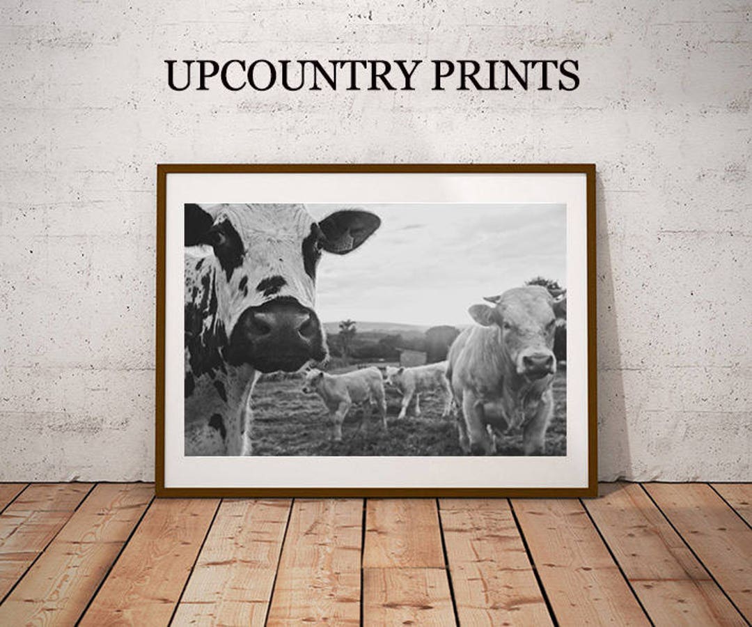 Cow Gifts, Cow Print, Cow Art, Highland Cow, Printable Art, French ...