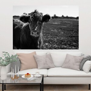 Cow Gifts, Cow Print, Cow Art, Highland Cow, Printable Art, French ...