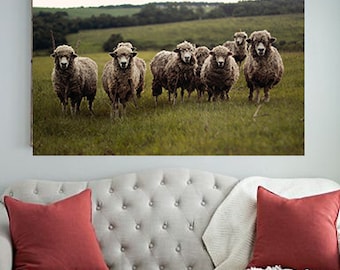 Sheep Wall Art - Etsy