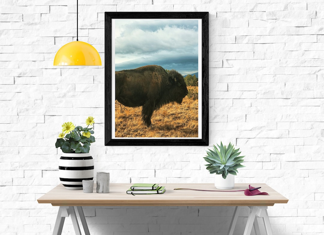 Buffalo Photo Print: Rustic Farmhouse Decor (digital Download) - Etsy