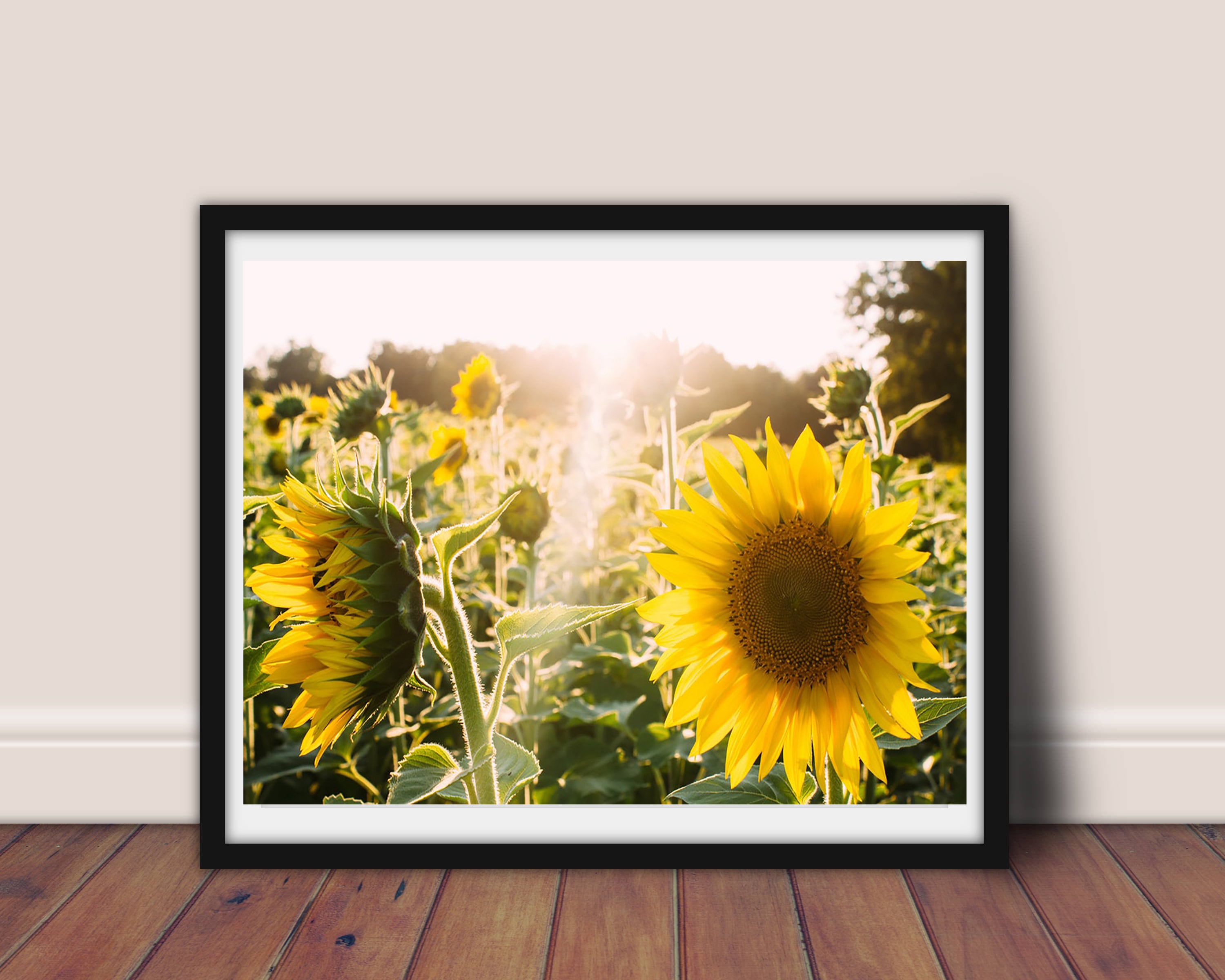 Sunflower Print Sunflower Art Sunflower Printable Sunflower - Etsy