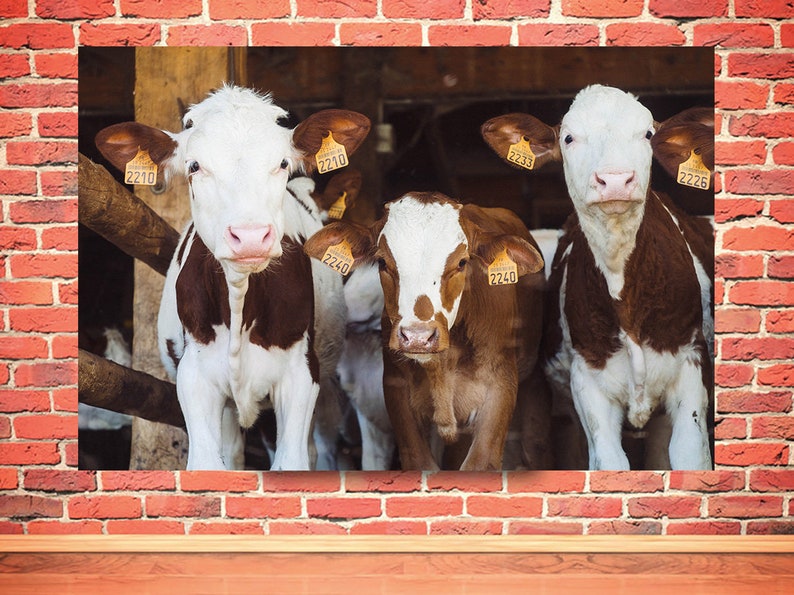 Baby Calves Picture Animal Crossing Highland Cow Nursery | Etsy