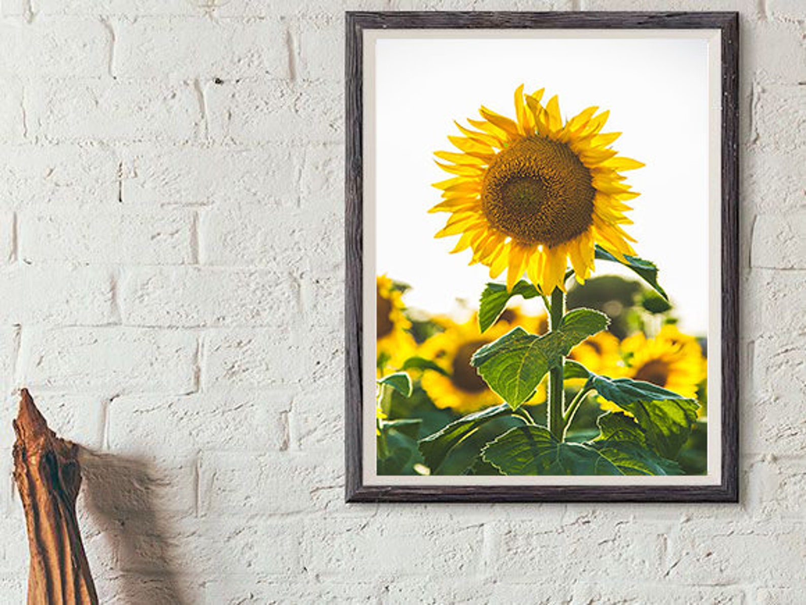 Sunflower Print Sunflower Art Sunflower Printable Sunflower - Etsy