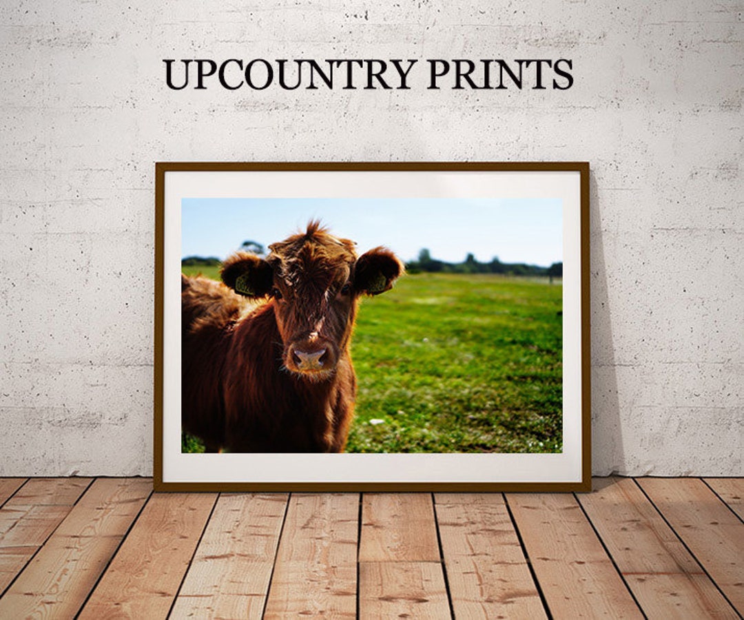 Cow Gifts, Cow Print, Cow Art, Highland Cow, Printable Art, French ...
