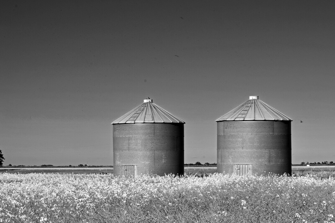 Silos, Silo Print, Silo Picture, Farmhouse, Farmhouse Print, Farmhouse ...