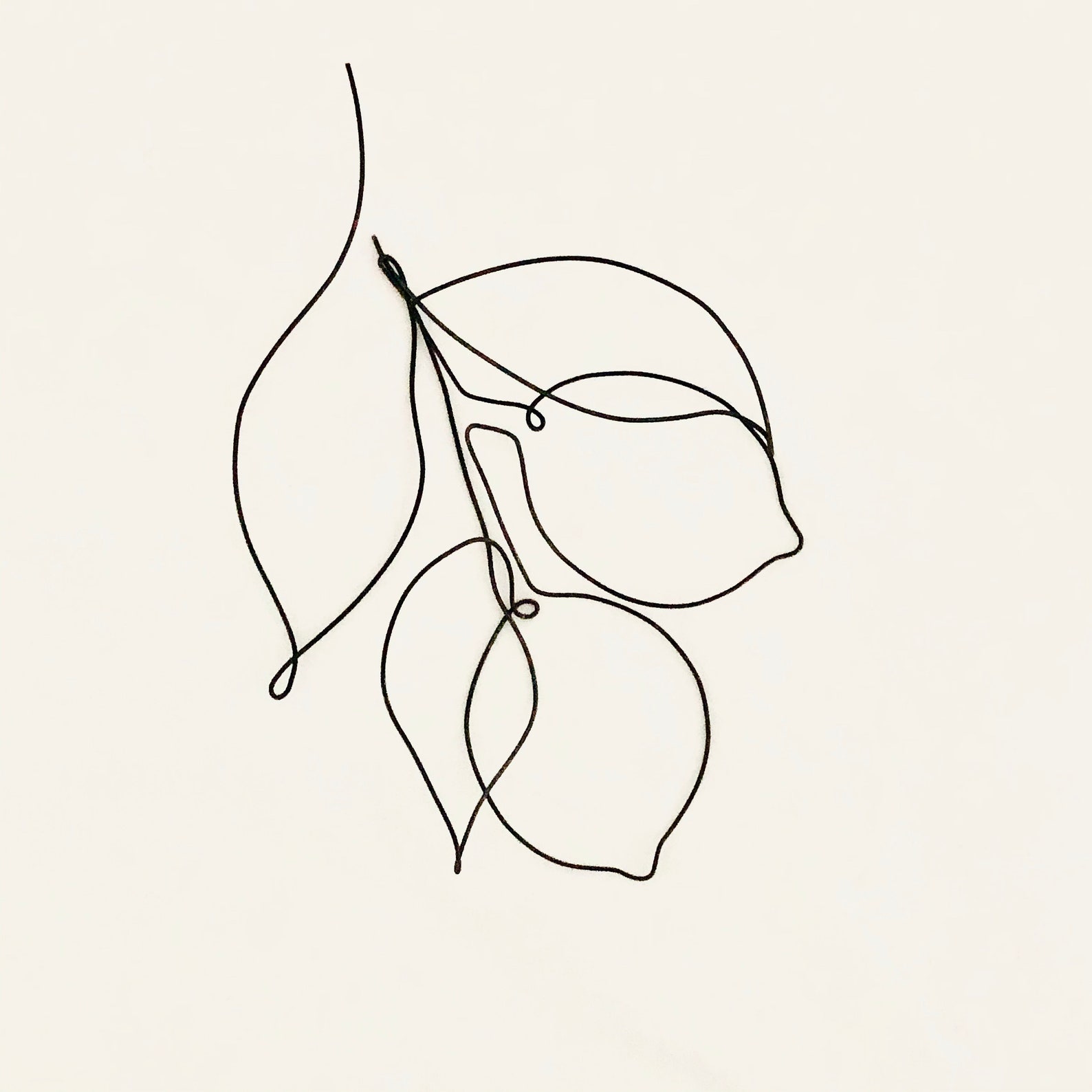 Handmade Wire Lemon Branch Tree One Line Branch Nature Lime Apple Bush ...