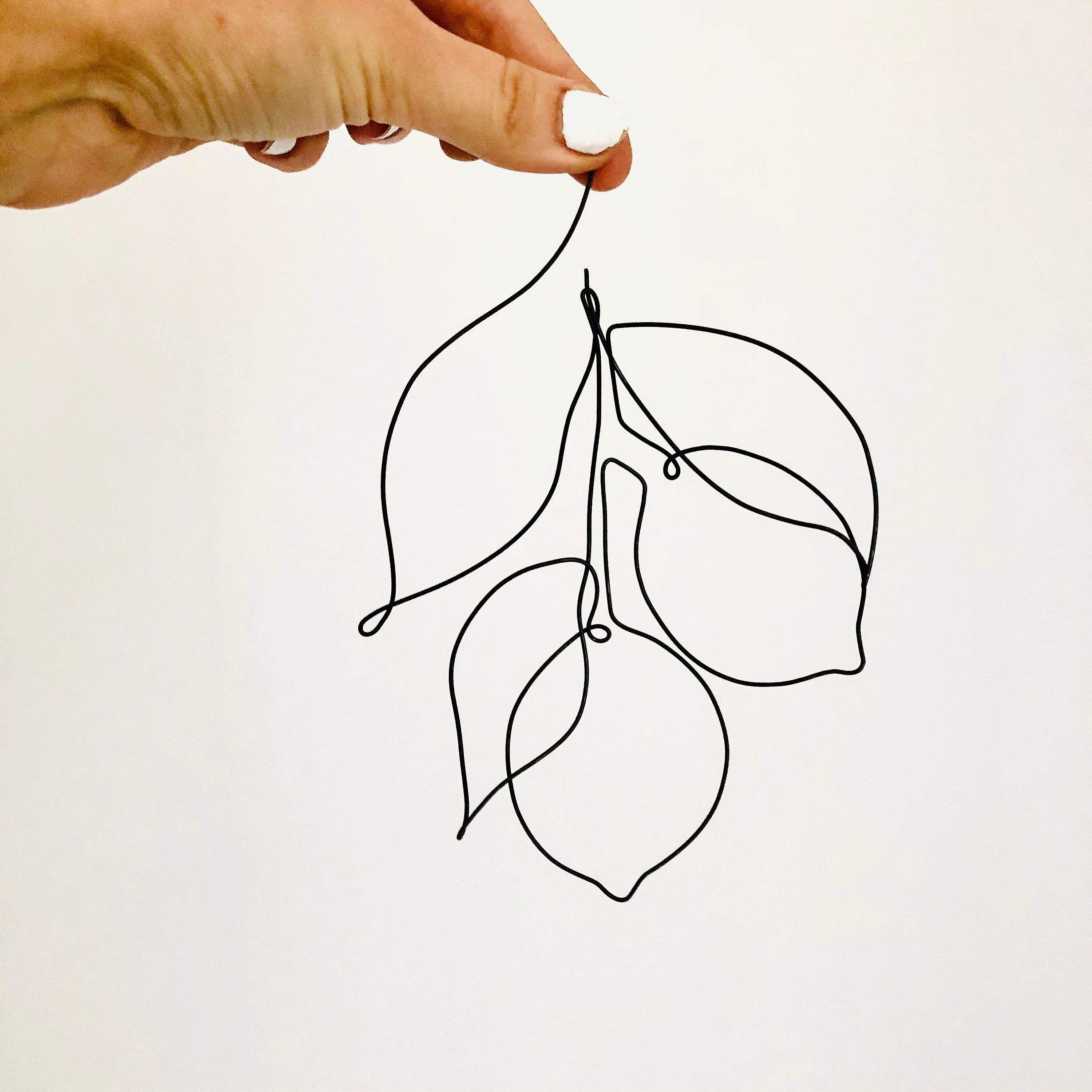 Handmade Wire Lemon Branch Tree One Line Branch Nature Lime Apple Bush ...