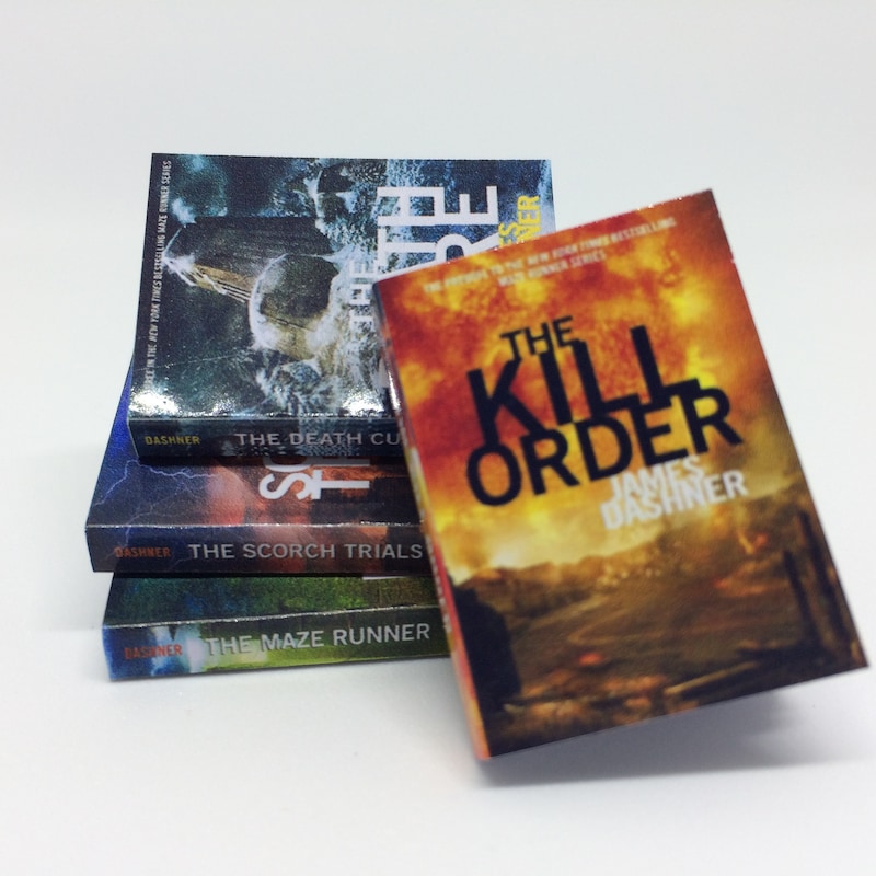 The Maze Runner - Etsy