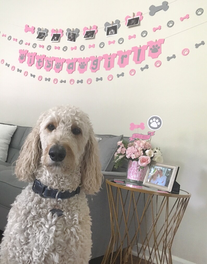 Puppy Baby Shower Decorations Paw Print Baby Shower Banner - Etsy
