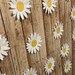 Daisy Party Decor Daisy Banner Daisy Theme Party Decorations Retro 70s ...