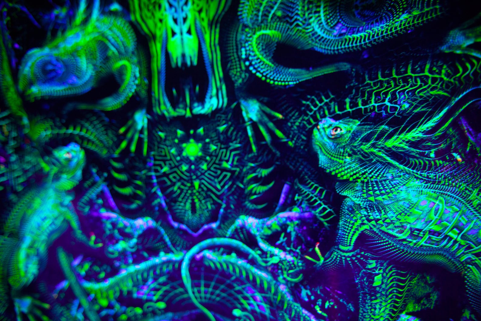 Trippy Painting, UV Wall Art, Blacklight Art, Neon Tapestry, Festival ...