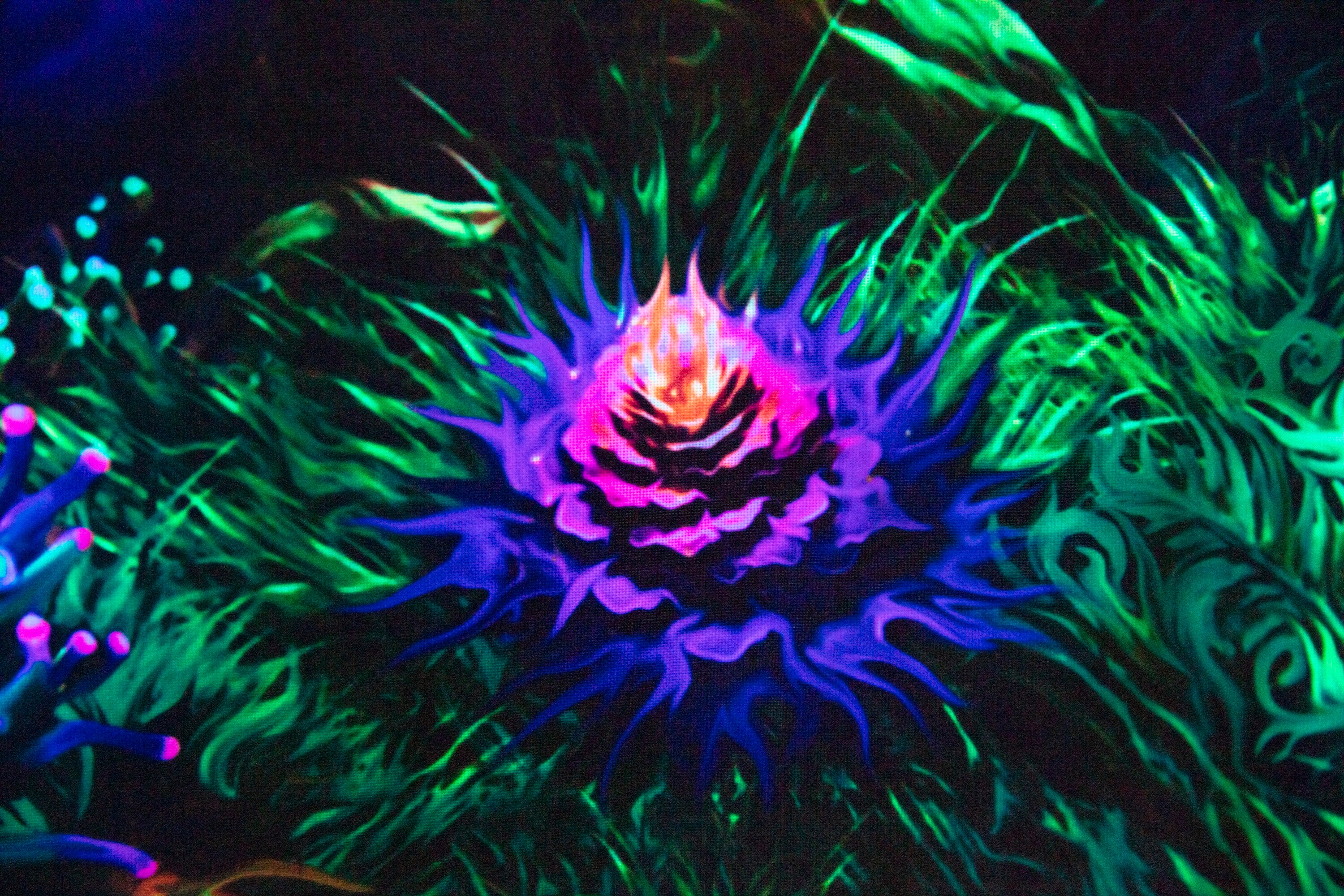 UV Blacklight Backdrop Psychedelic Art Alice in Trippyland UV - Etsy Sweden