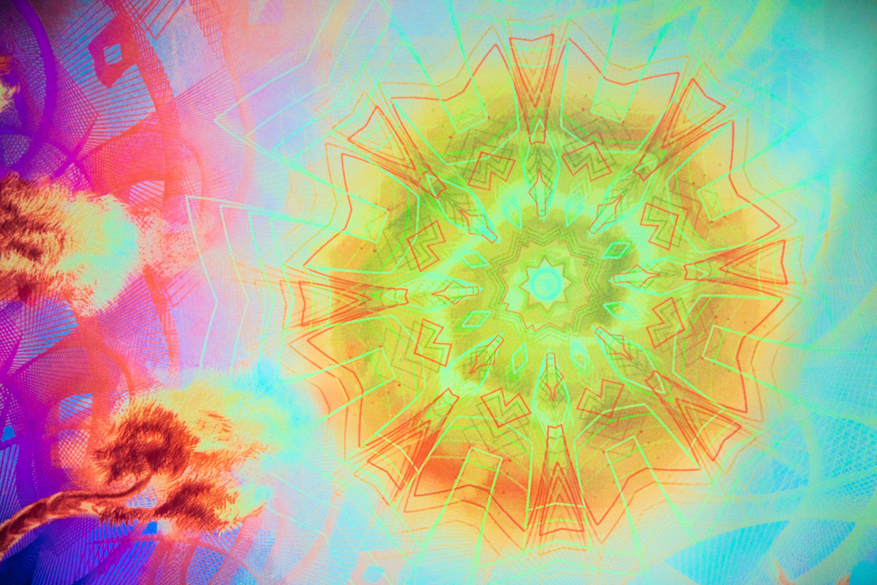 Esoteric Home Decor Forest Festival UV Tapestry Meditation - Etsy