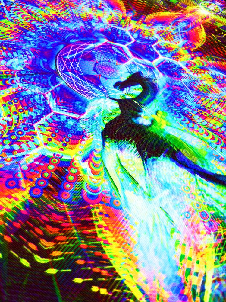 Bohemian Wall Tapestry Psychedelic Acid Tapestry Mushroom | Etsy