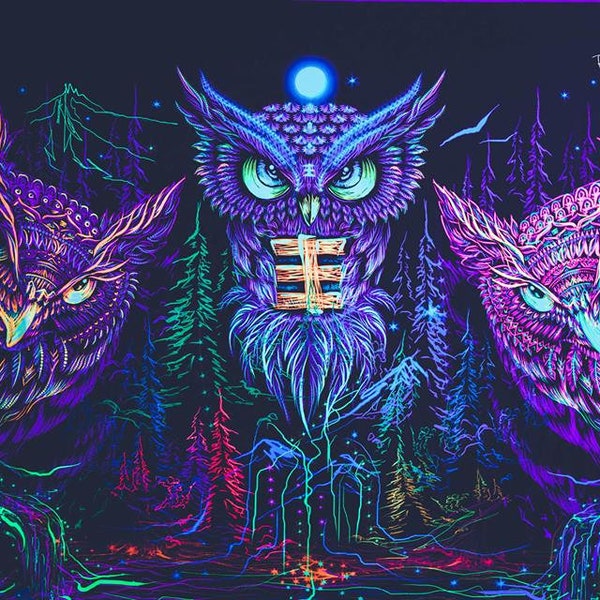 Psychedelic Owl - Etsy