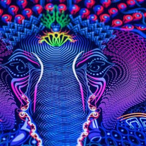 Ganesh Tapestry Psychedelic Art Ganesha Hindu God UV Fluorescent Print ...