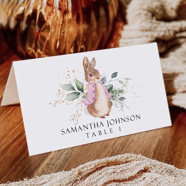 Peter Rabbit Place Cards - Etsy