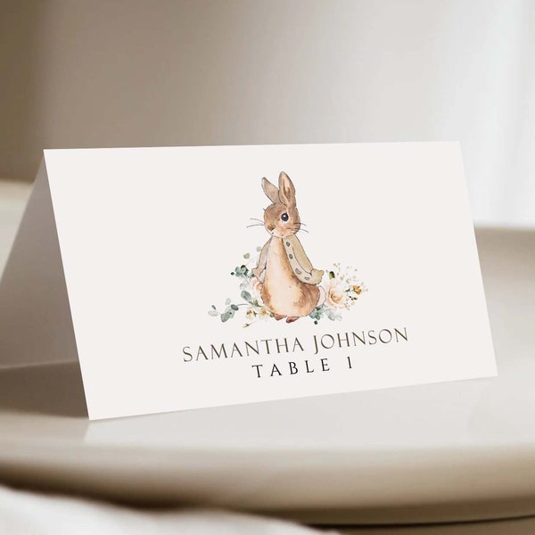 Peter Rabbit Shower - Etsy